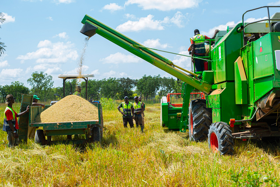 La Côte d’Ivoire, pilier de résilience et moteur de croissance en Afrique de l’Ouest en 2024 ...